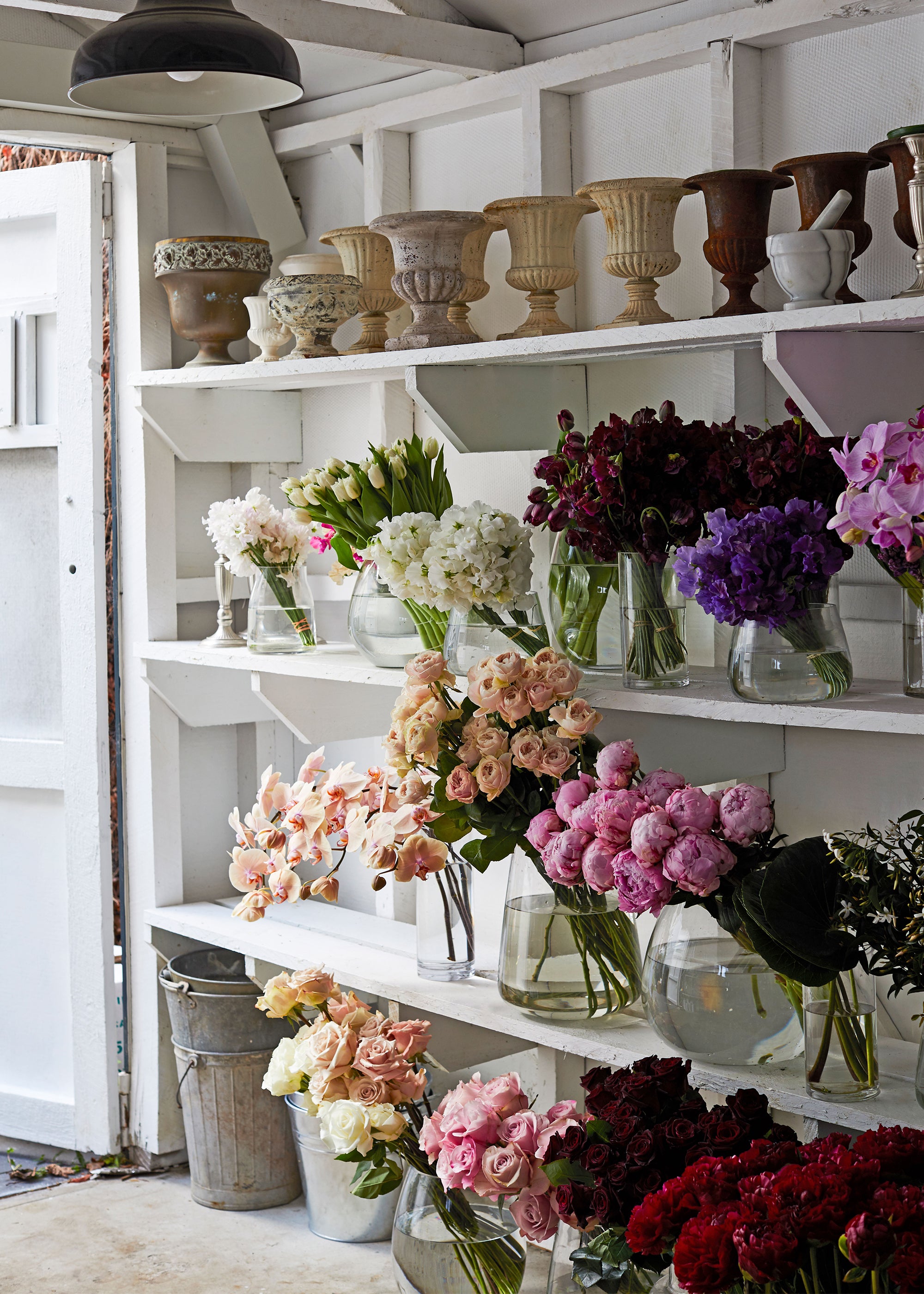 Floral Shop Display Ideas A Free Color Guide To The Cafe Latte Rose